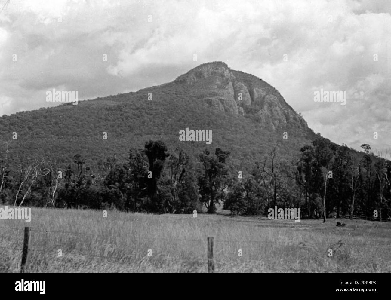 105 Queensland State Archives 2171 Scene in Mt Edwards district March ...