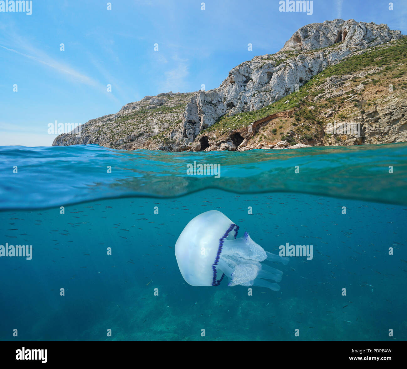 Rocky coast with a jellyfish and small fish underwater, split view ...