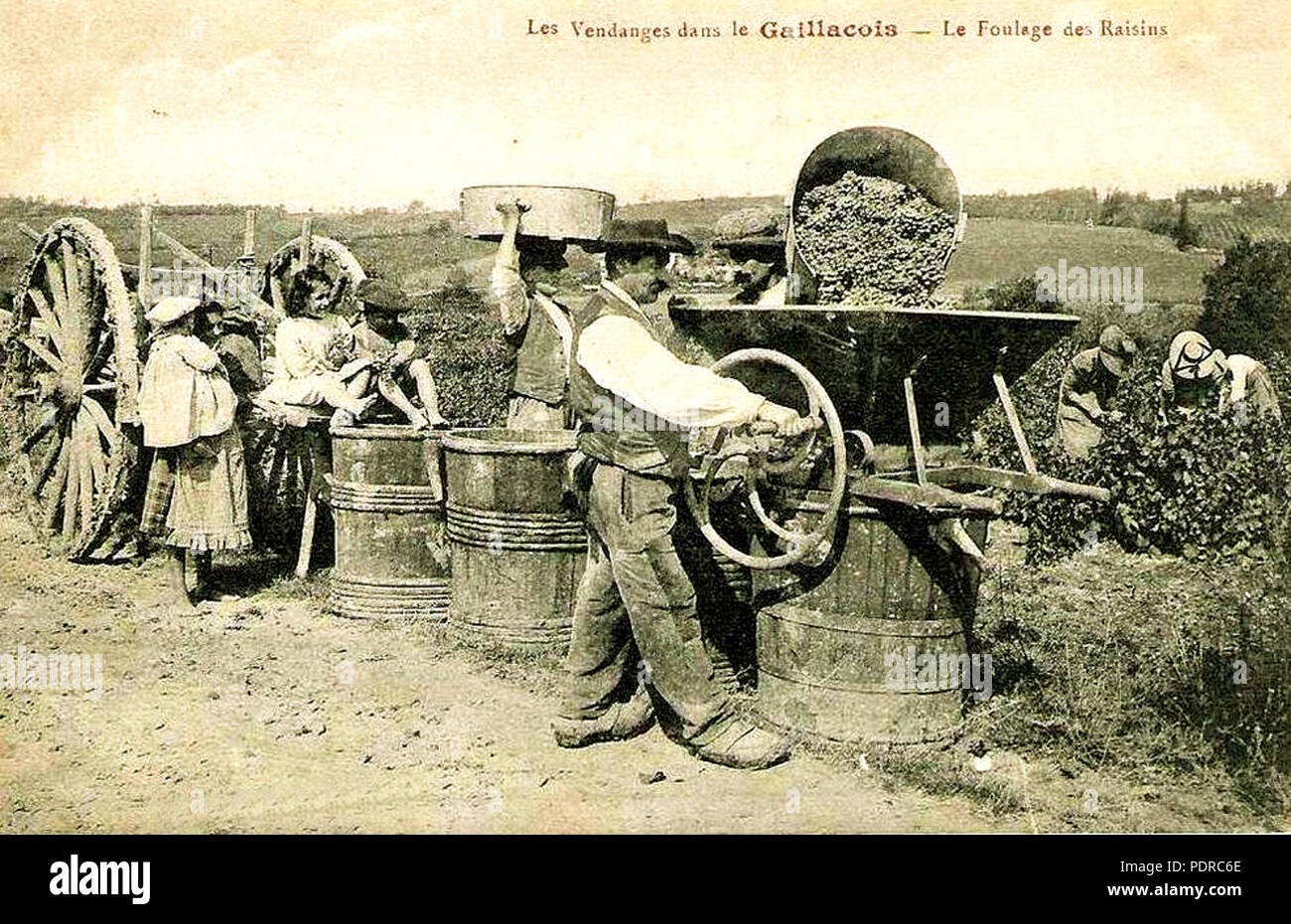 Foulage hi-res stock photography and images - Alamy