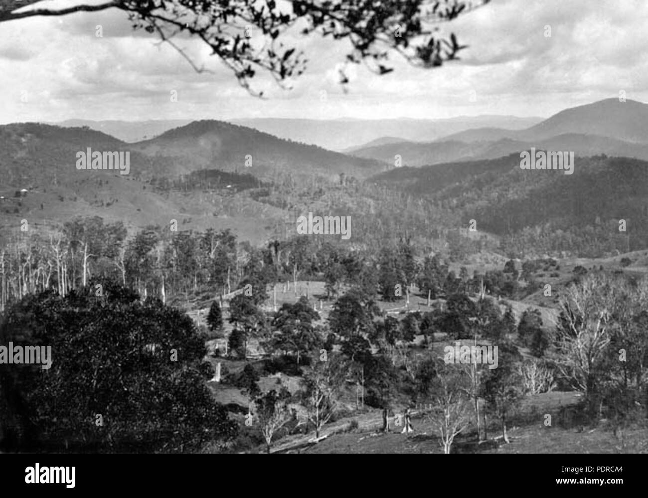 Conondale hi-res stock photography and images - Alamy