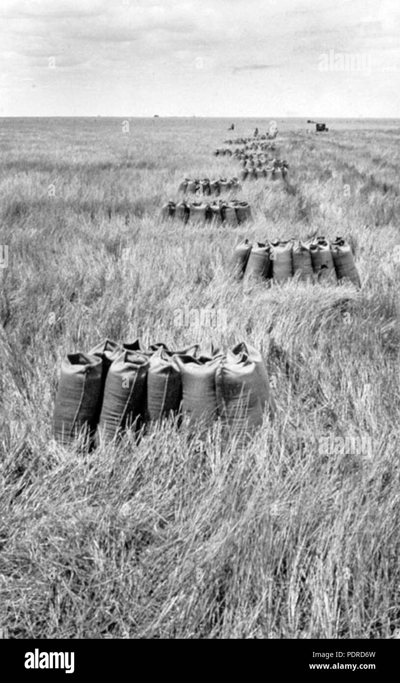Australian wheat harvest hi-res stock photography and images - Alamy