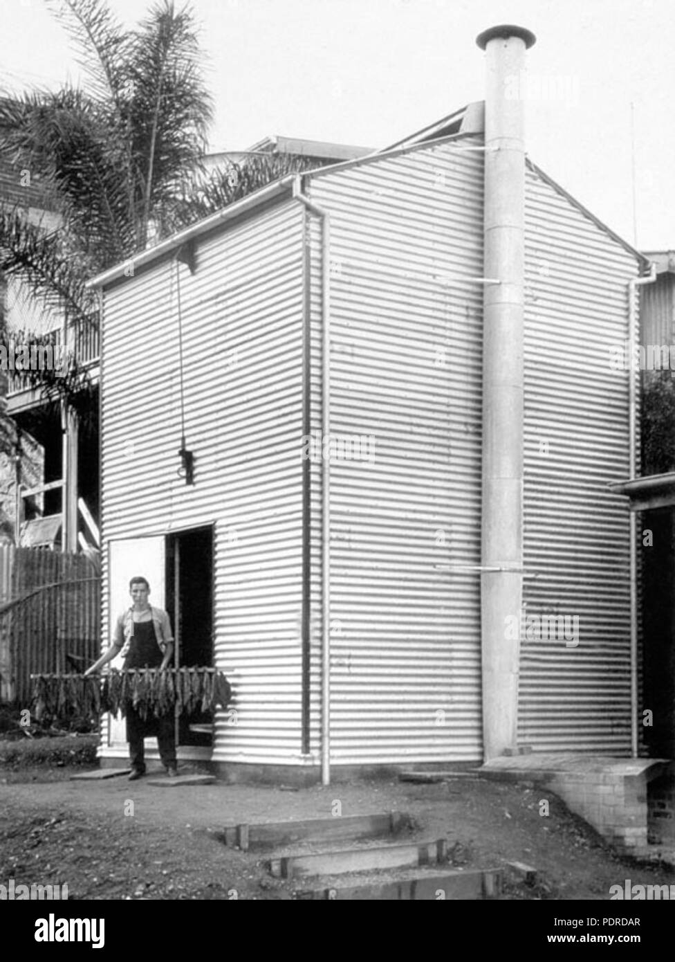 114 Queensland State Archives 4242 Departmental Tobacco Flue Curing ...