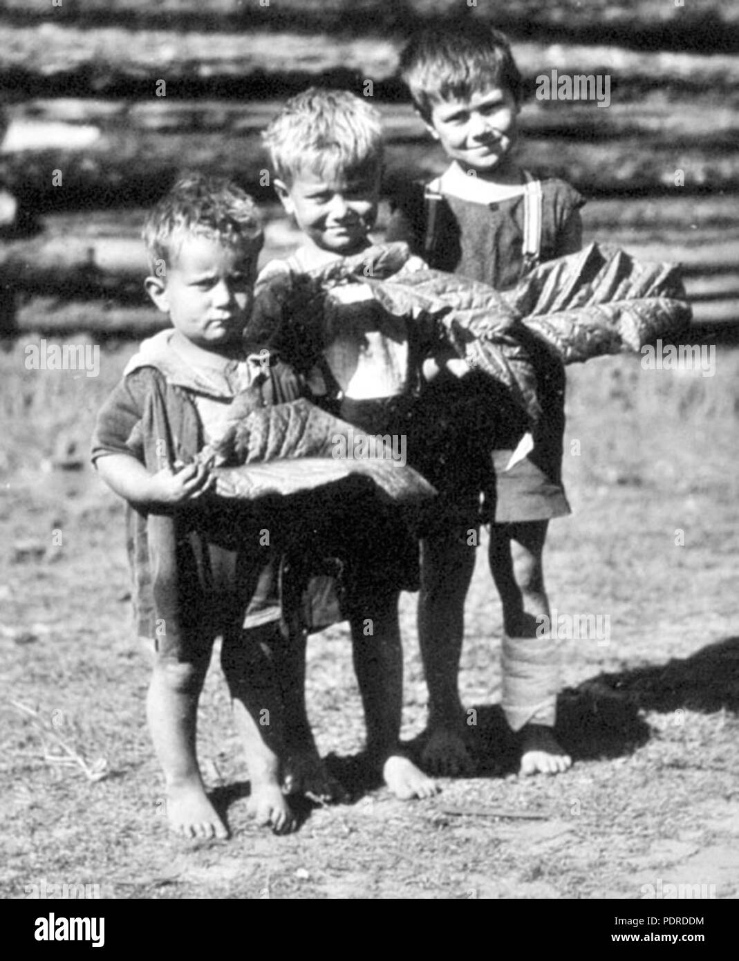 Children on rural farm Black and White Stock Photos & Images - Alamy