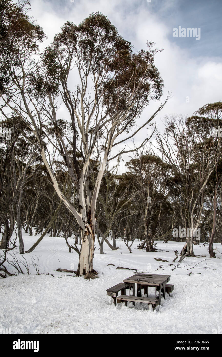 Hugh alpine hi-res stock photography and images - Alamy