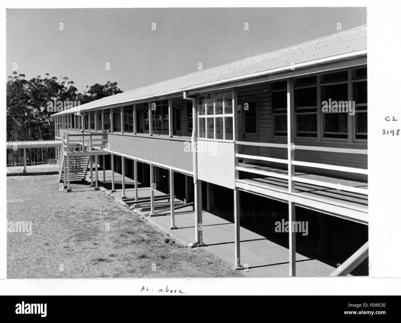 Labrador queensland Black and White Stock Photos & Images - Alamy