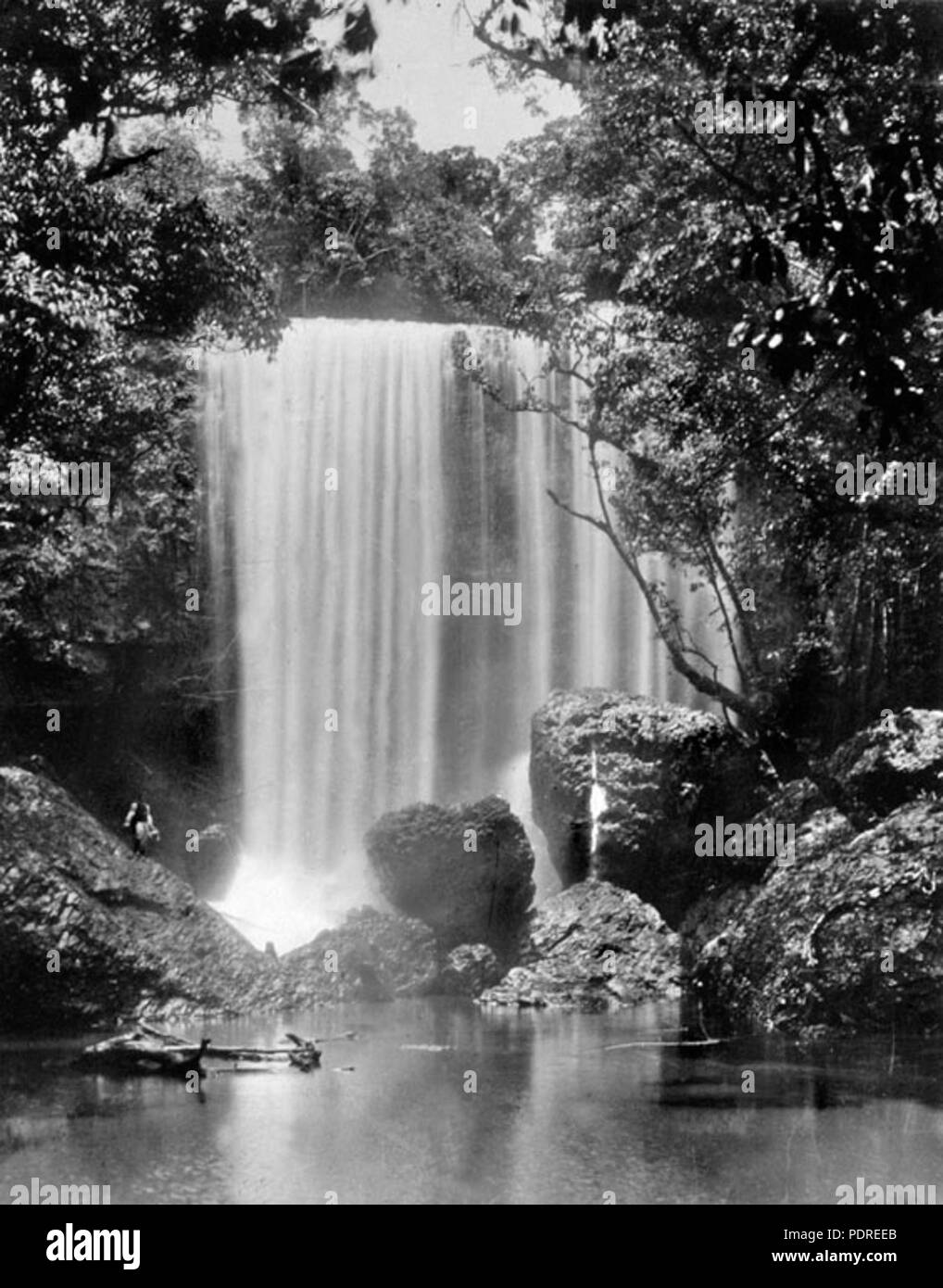 Innisfail queensland Black and White Stock Photos & Images - Alamy