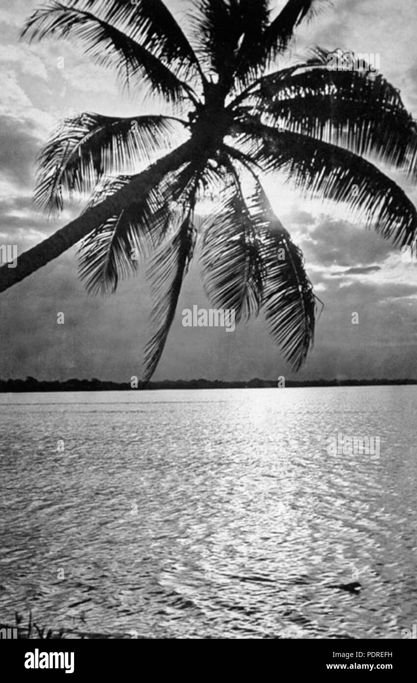 122 Queensland State Archives 884 View at Great Barrier Reef North ...