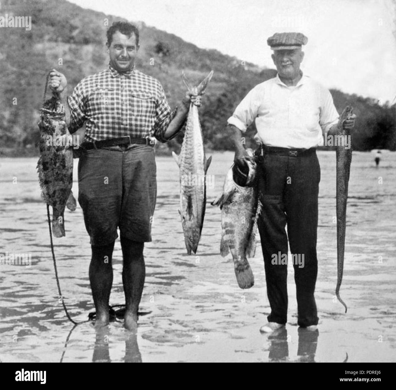 123 Queensland State Archives 936 Messrs J W Davidson Commissioner of ...