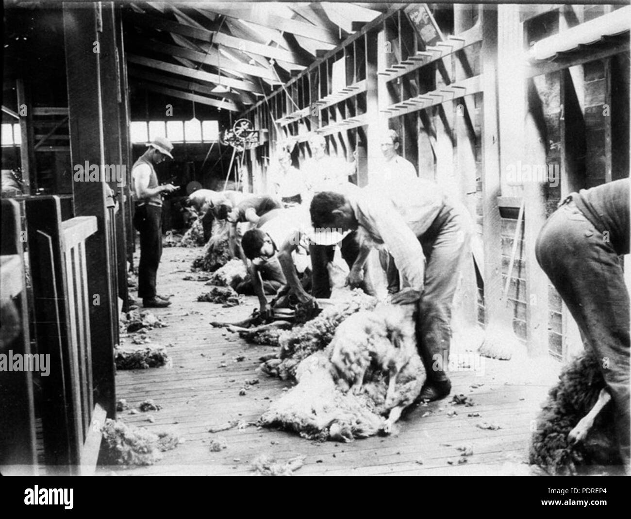 Quirindi Black and White Stock Photos & Images - Alamy