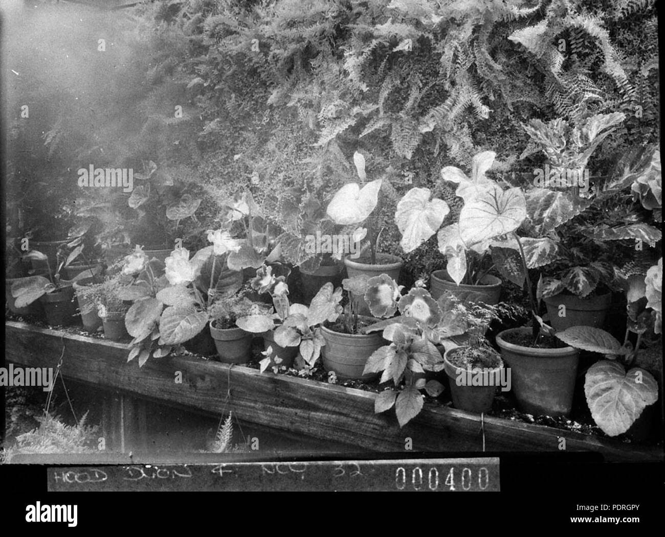 Close up mr Black and White Stock Photos & Images - Alamy