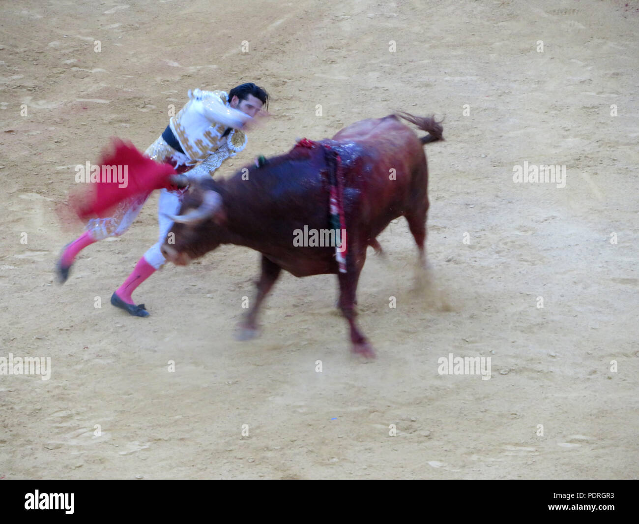 Bull fight. Bull fighter in the Plaza de Toros, Granada, Andalusia ...