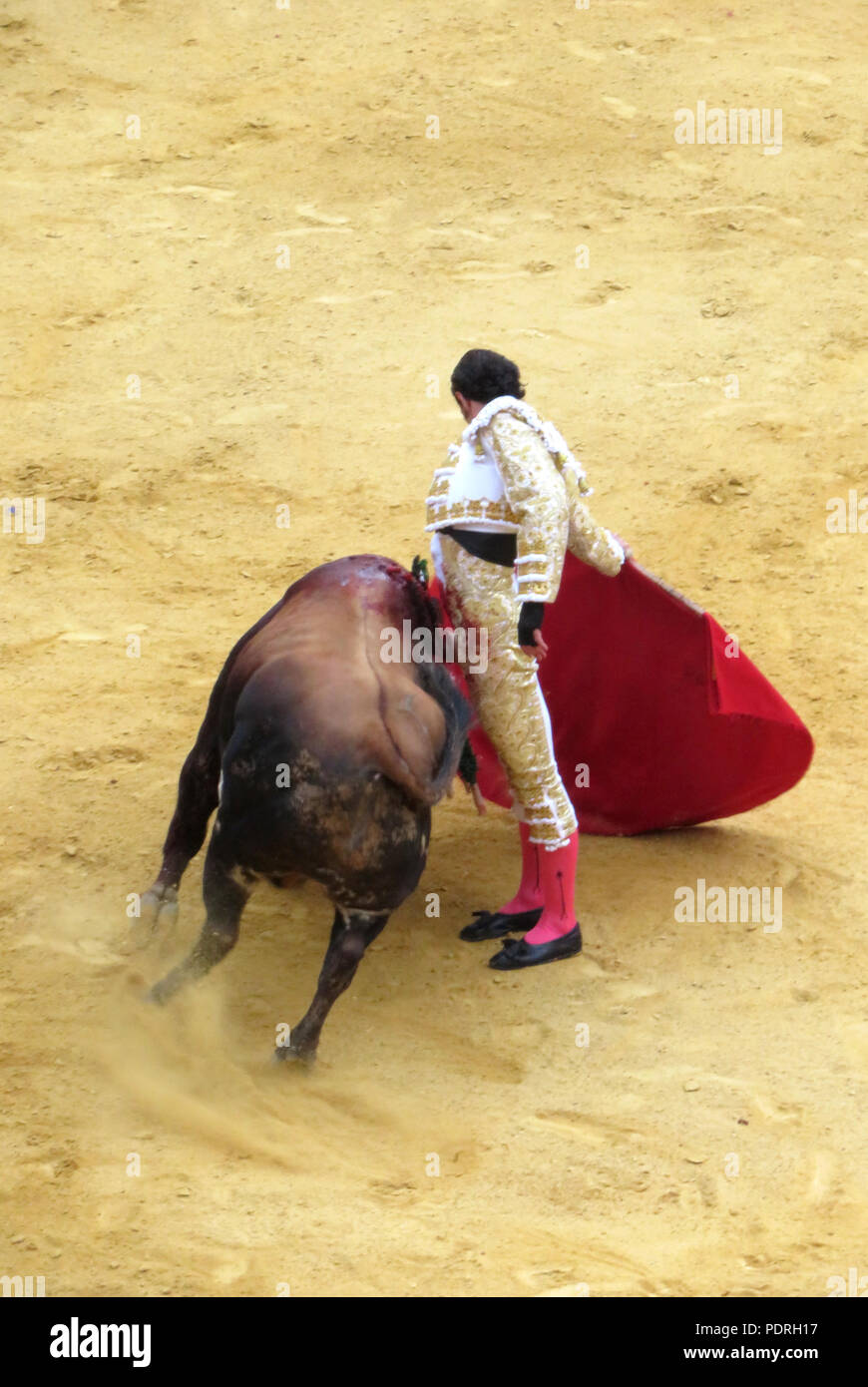 Bull fight. Bull fighter in the Plaza de Toros, Granada, Andalusia ...