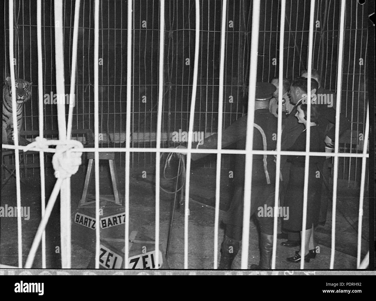 141 SLNSW 22278 Broadcasting at Wirths Circus Stock Photo - Alamy