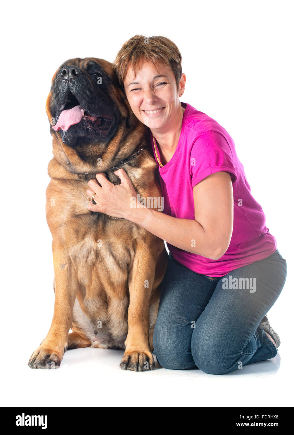Female bullmastiff hi-res stock photography and images - Alamy