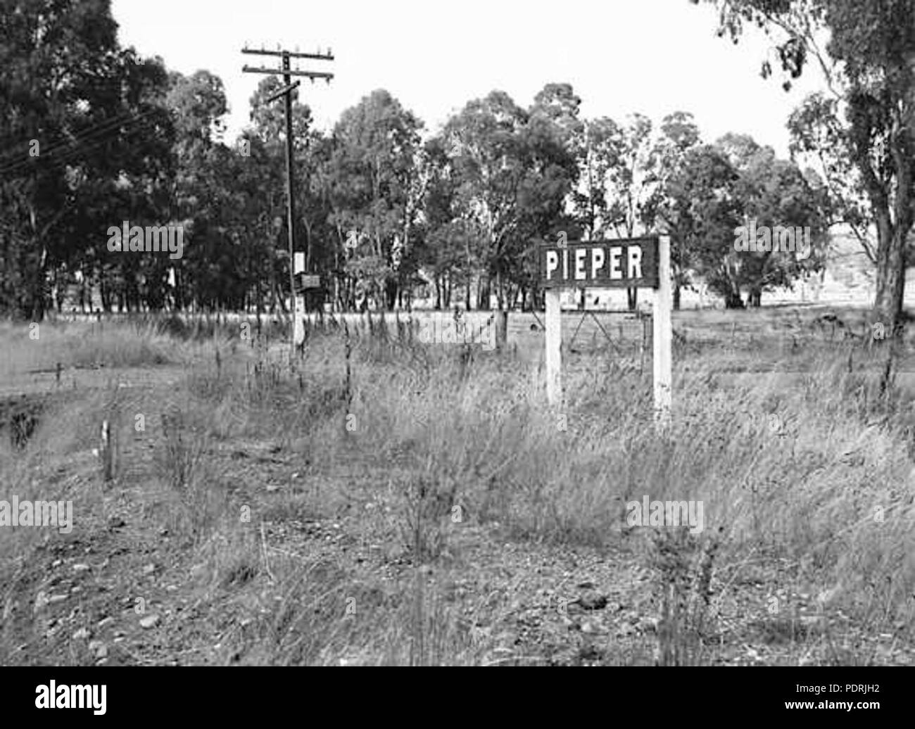 Pieper hi-res stock photography and images - Alamy