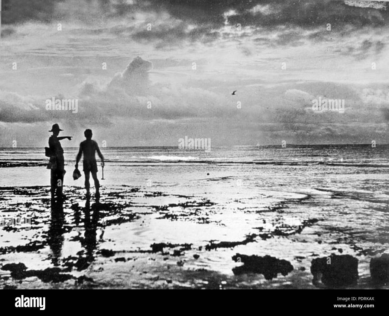 Calliope island hi-res stock photography and images - Alamy