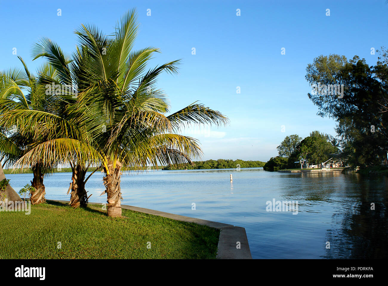Bush key and florida hi-res stock photography and images - Alamy