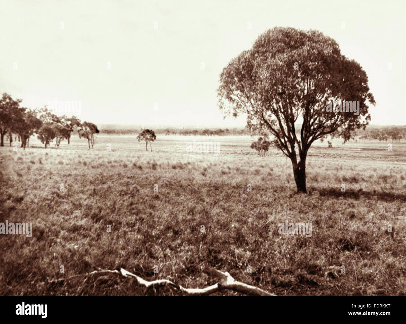 Jimbour station hi-res stock photography and images - Alamy