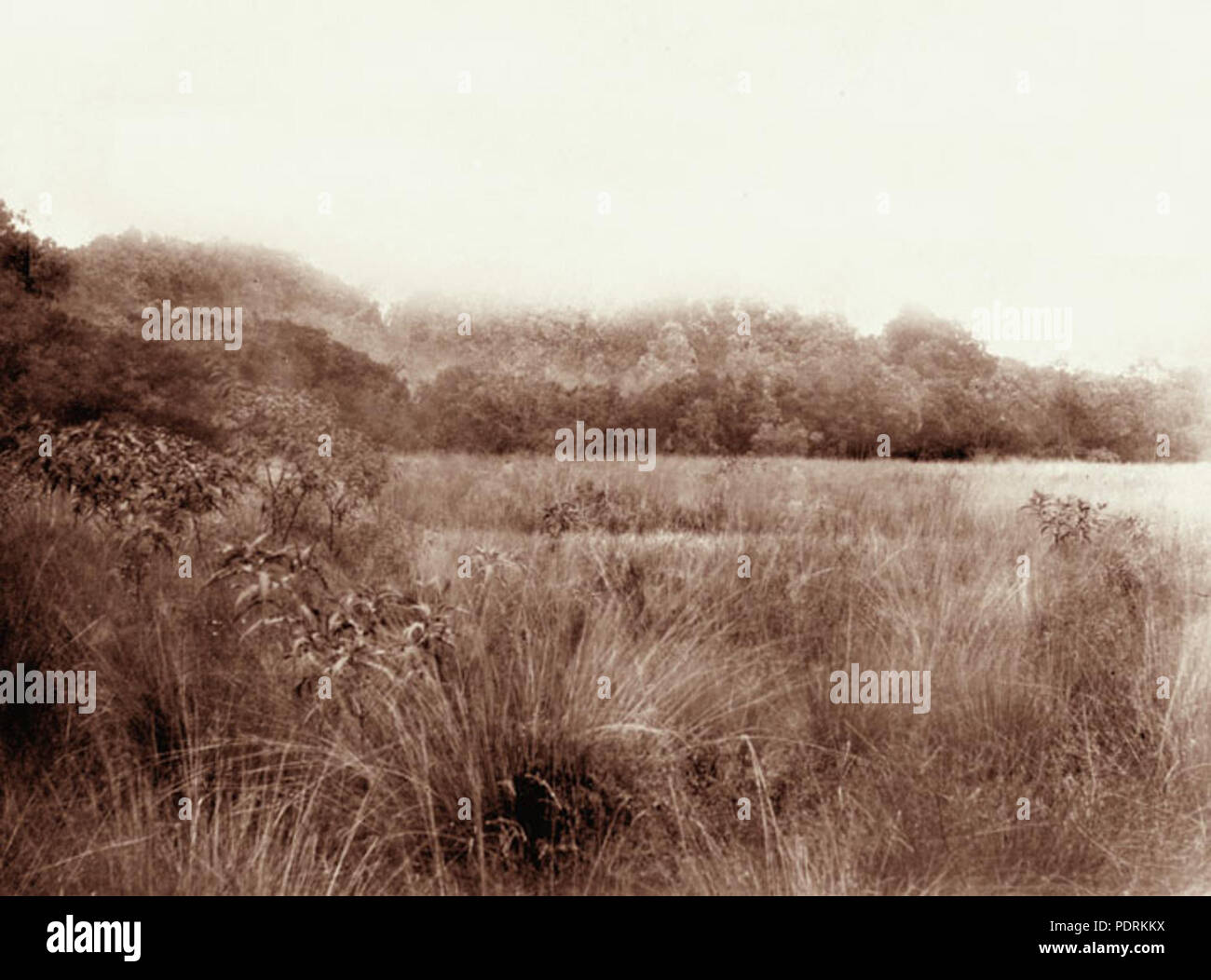 Jimbour station hi-res stock photography and images - Alamy