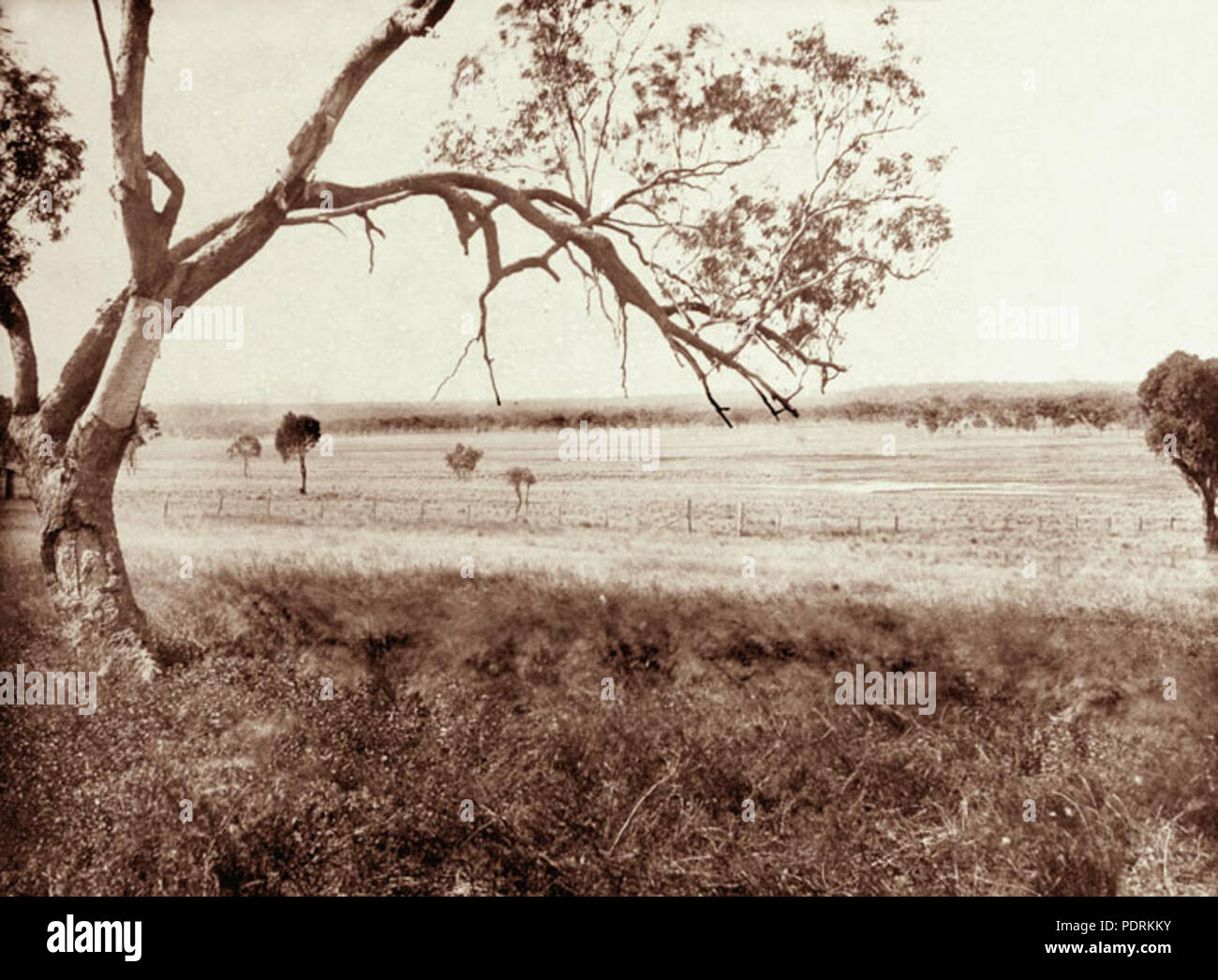 Jimbour station hi-res stock photography and images - Alamy