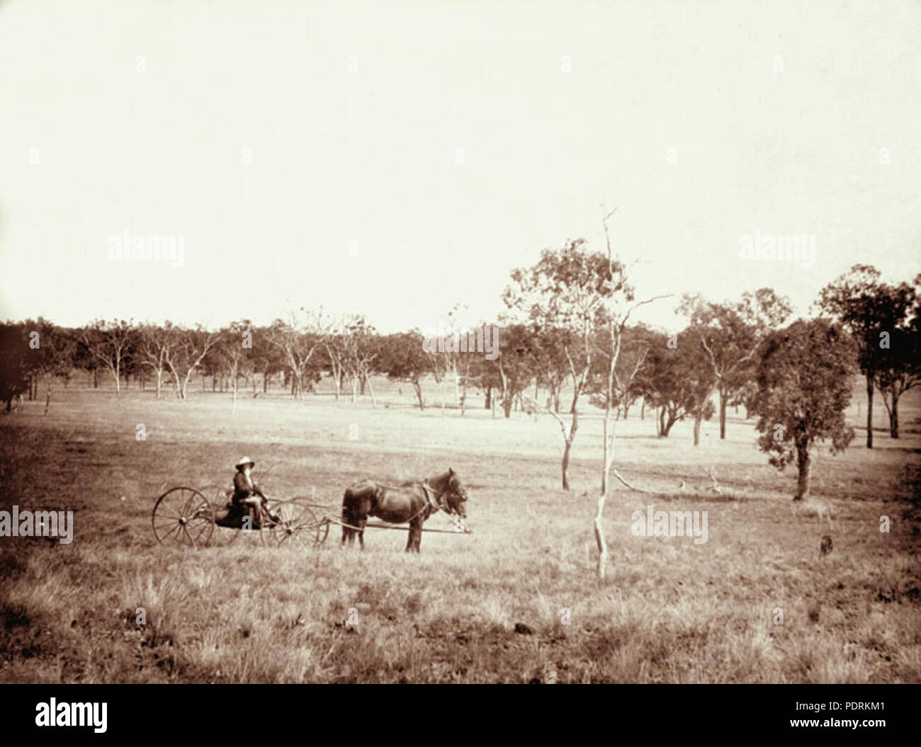 Jimbour station hi-res stock photography and images - Alamy