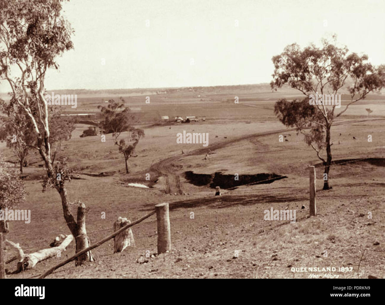 106 Queensland State Archives 2335 Farmlands near Allora 1897 Stock ...