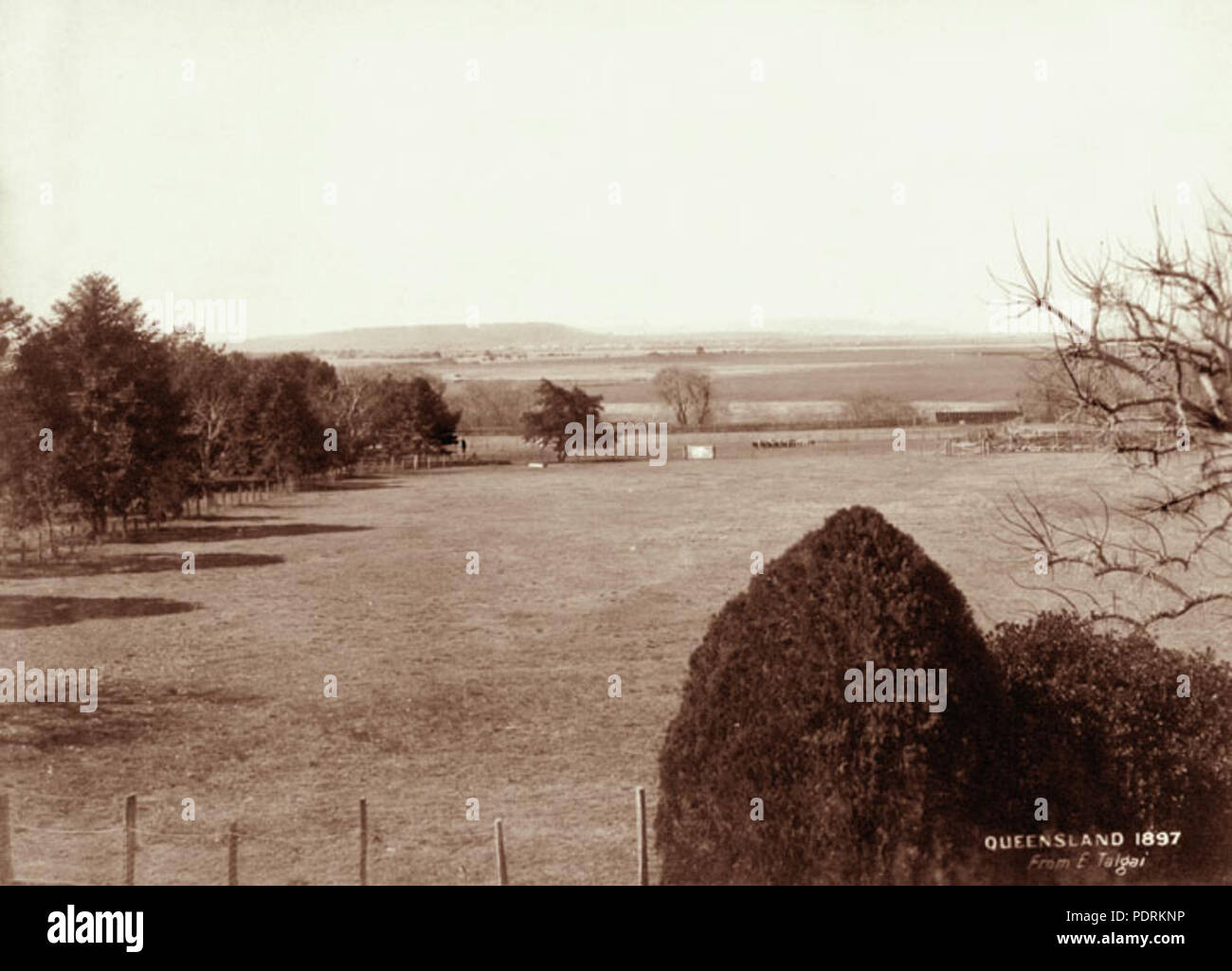 Talgai hi-res stock photography and images - Alamy