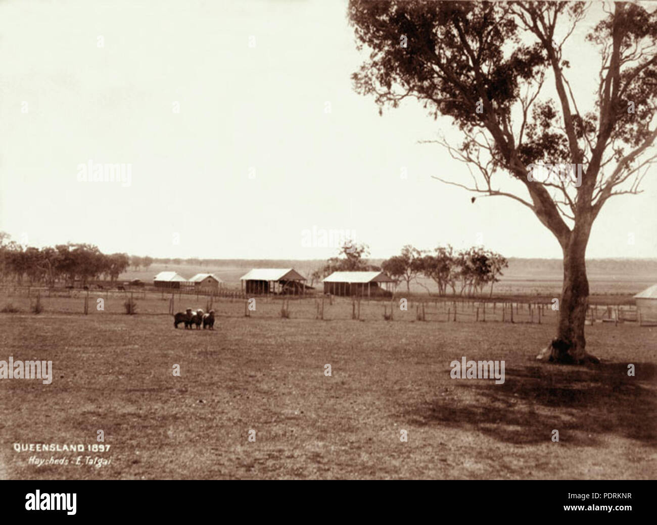 Talgai hi-res stock photography and images - Alamy