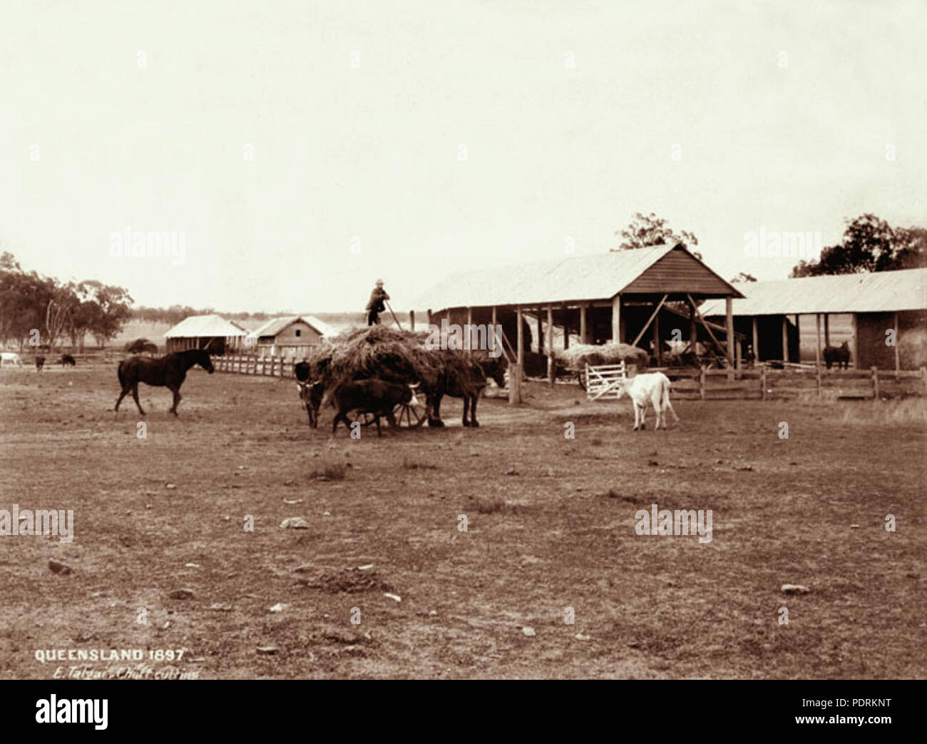 Talgai hi-res stock photography and images - Alamy