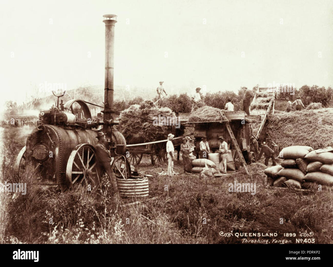 106 Queensland State Archives 2371 Threshing at Yangan with steam ...