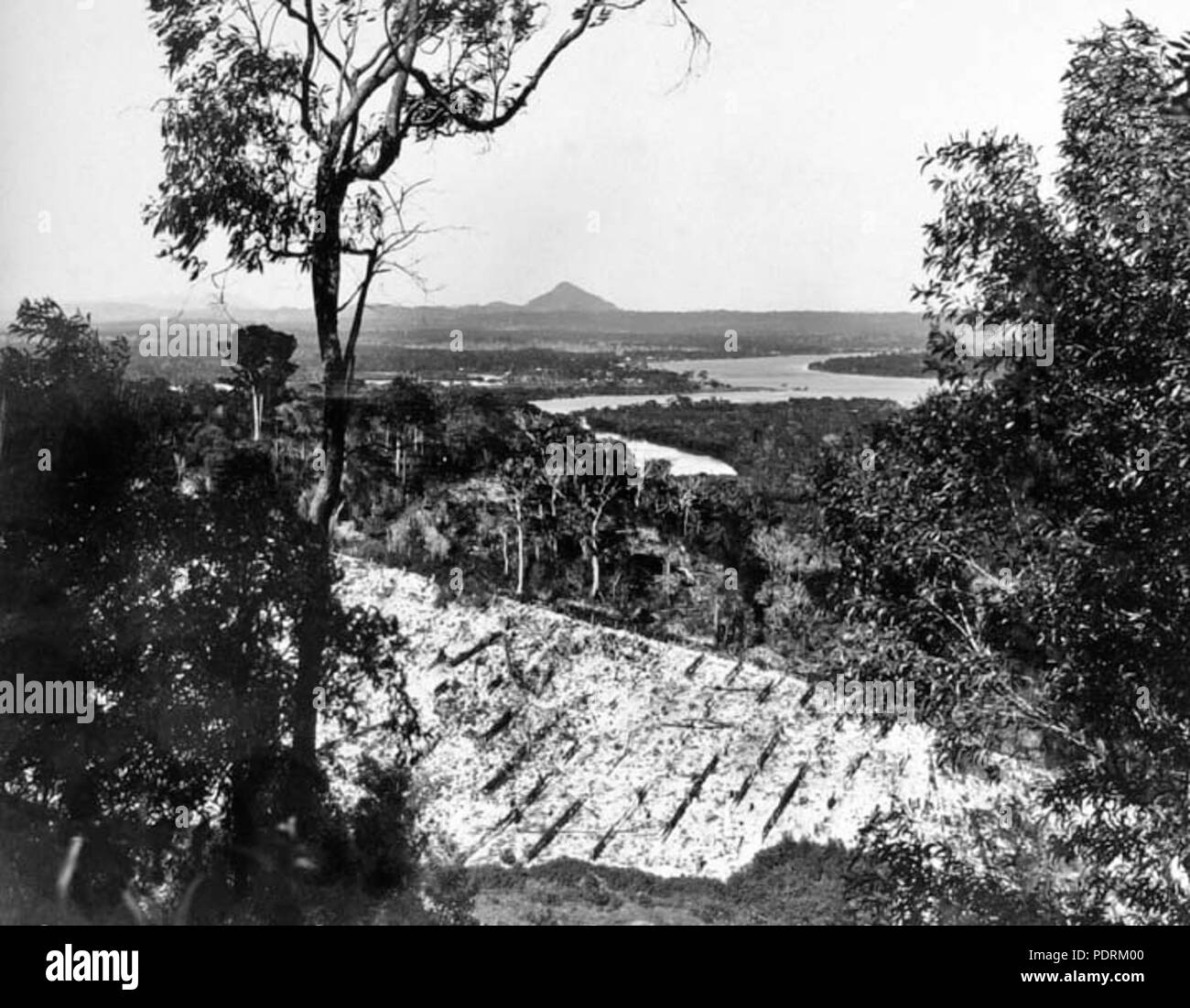 Cooroy hi-res stock photography and images - Alamy
