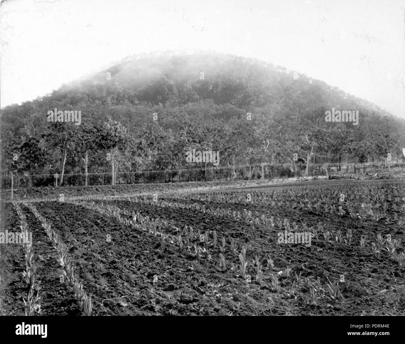 Land rehabilitation queensland hi-res stock photography and images - Alamy