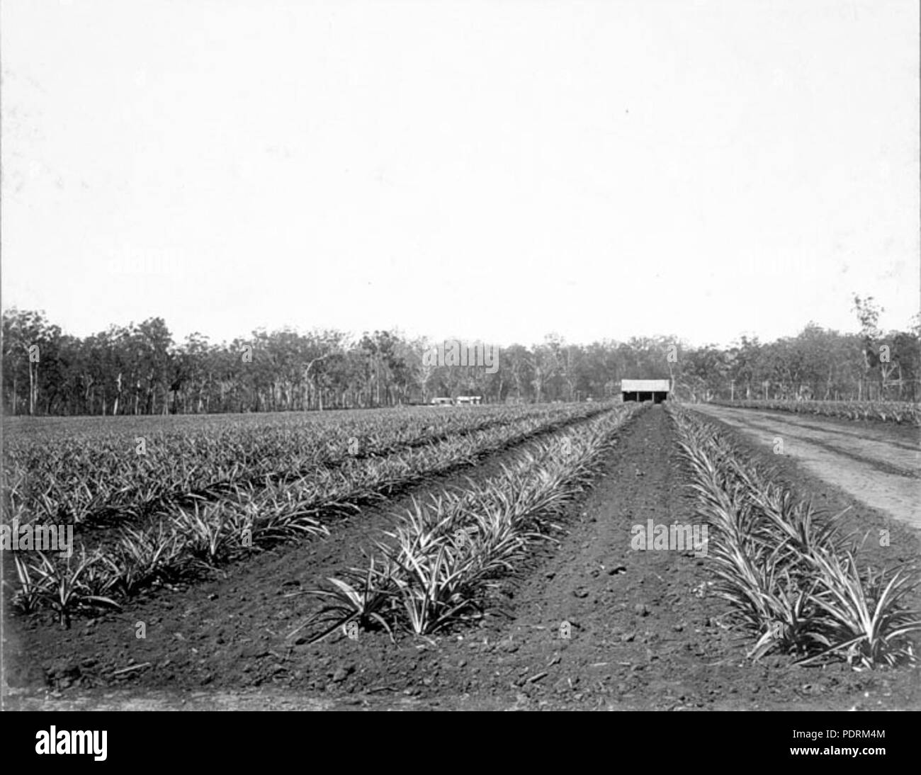 Vocational training for military Black and White Stock Photos & Images ...