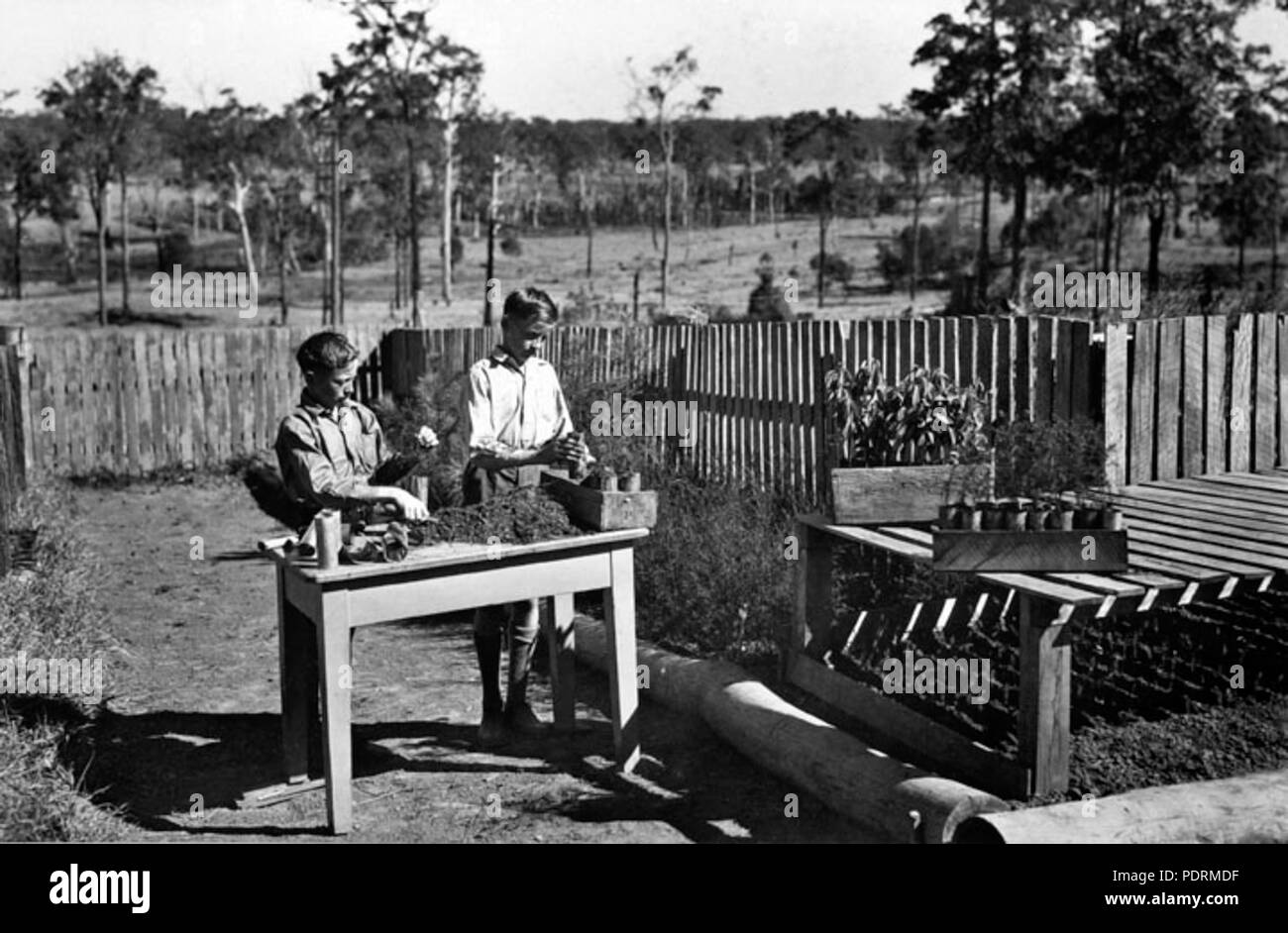 108 Queensland State Archives 2848 Students potting plants at Slacks ...