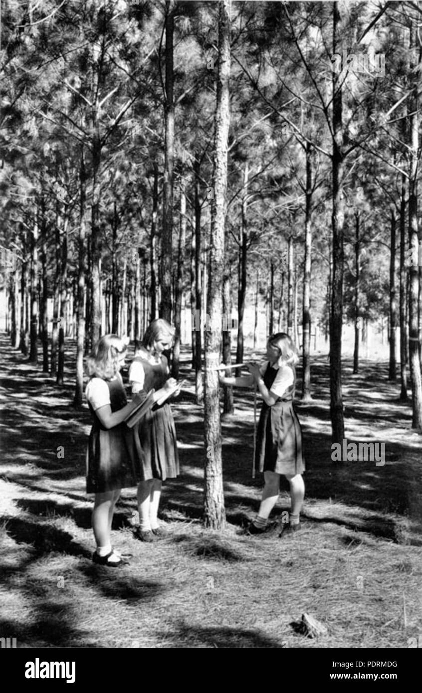 108 Queensland State Archives 2849 Students study trees Slacks Creek ...