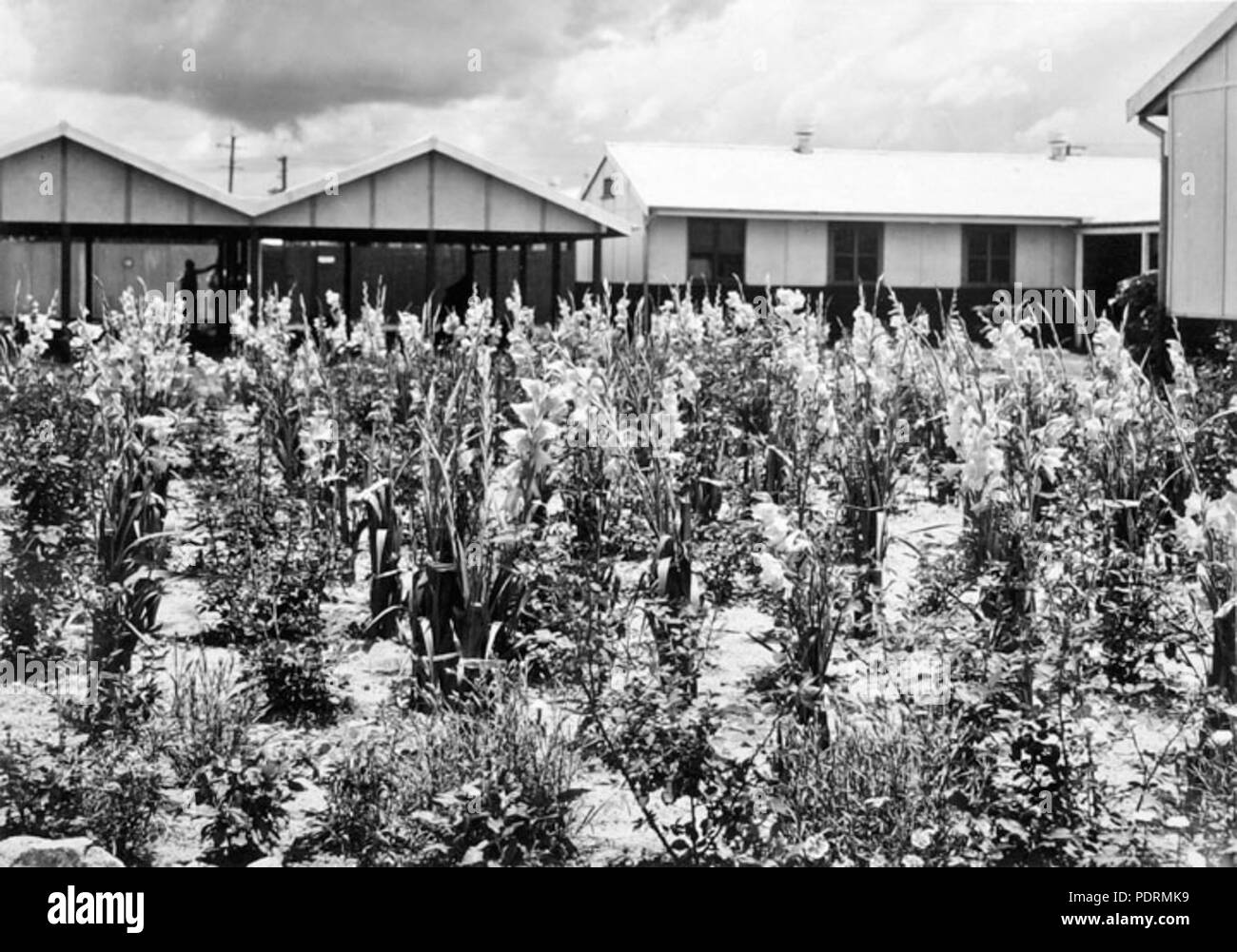 3009 Black and White Stock Photos & Images - Alamy