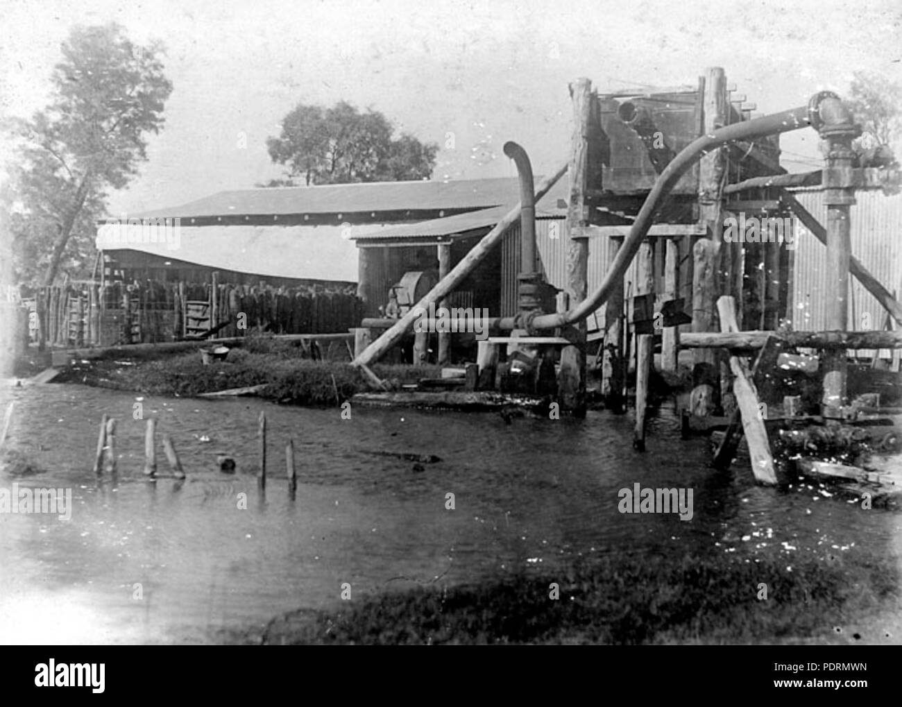 Shearing plant hi-res stock photography and images - Alamy