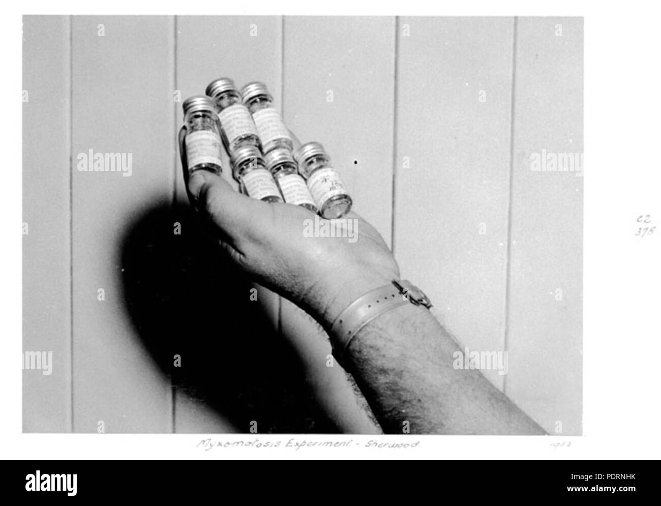 1950s experiment Cut Out Stock Images & Pictures - Alamy