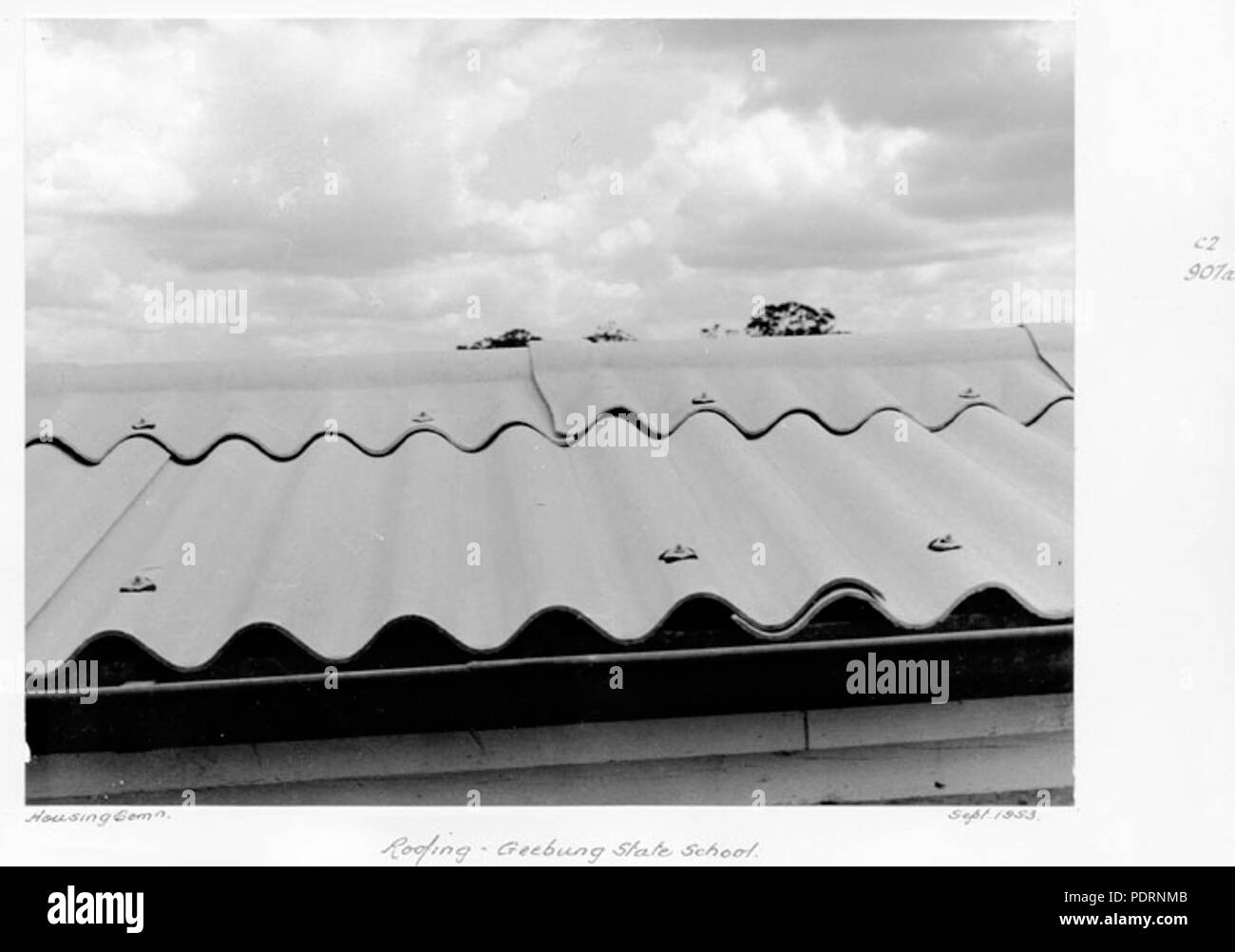 Geebung Black and White Stock Photos & Images - Alamy