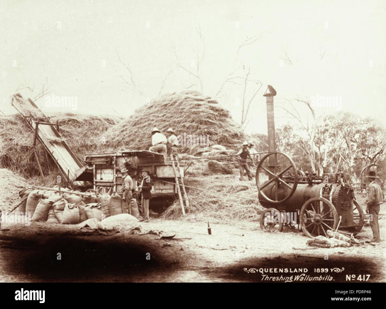 Wallumbilla hi-res stock photography and images - Alamy