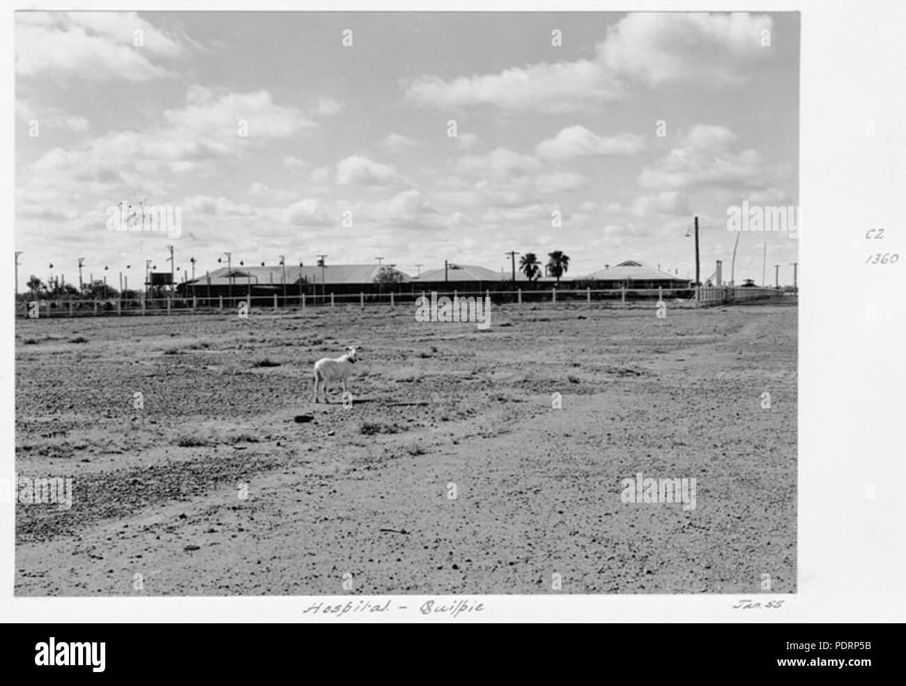119 Queensland State Archives 5282 Hospital Quilpie January 1955 Stock ...