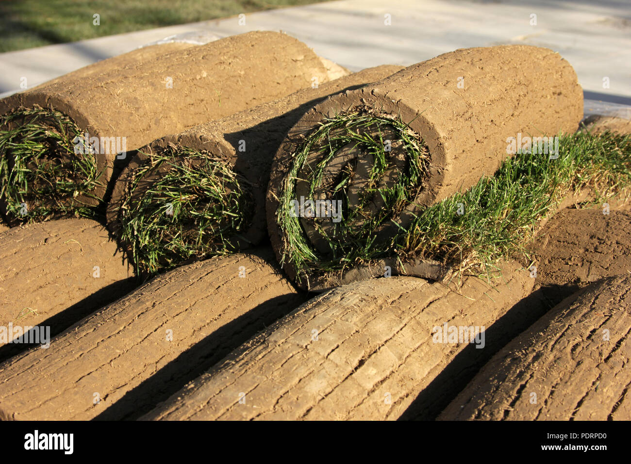 Golf turf cross section hi-res stock photography and images - Alamy