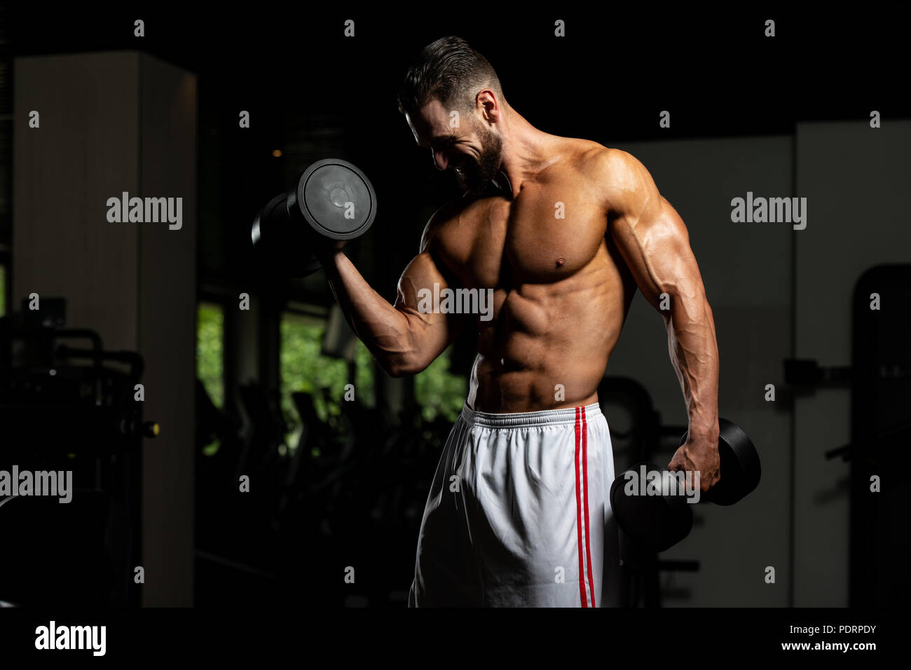 Man Working Out Biceps In A Gym - Dumbbell Concentration Curls Stock ...