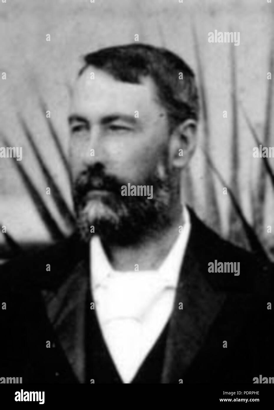 125 Richard O'Connor MLC Stock Photo - Alamy