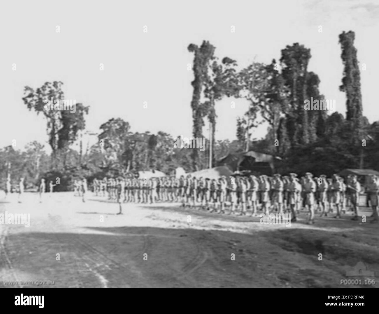 126 RNZAF personnel with US Gen Mitchell Bougainville 1945 Stock Photo ...