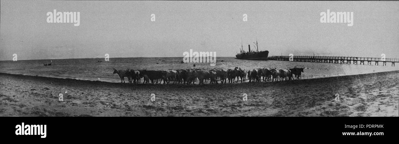 126 Robb Jetty1920s Stock Photo - Alamy