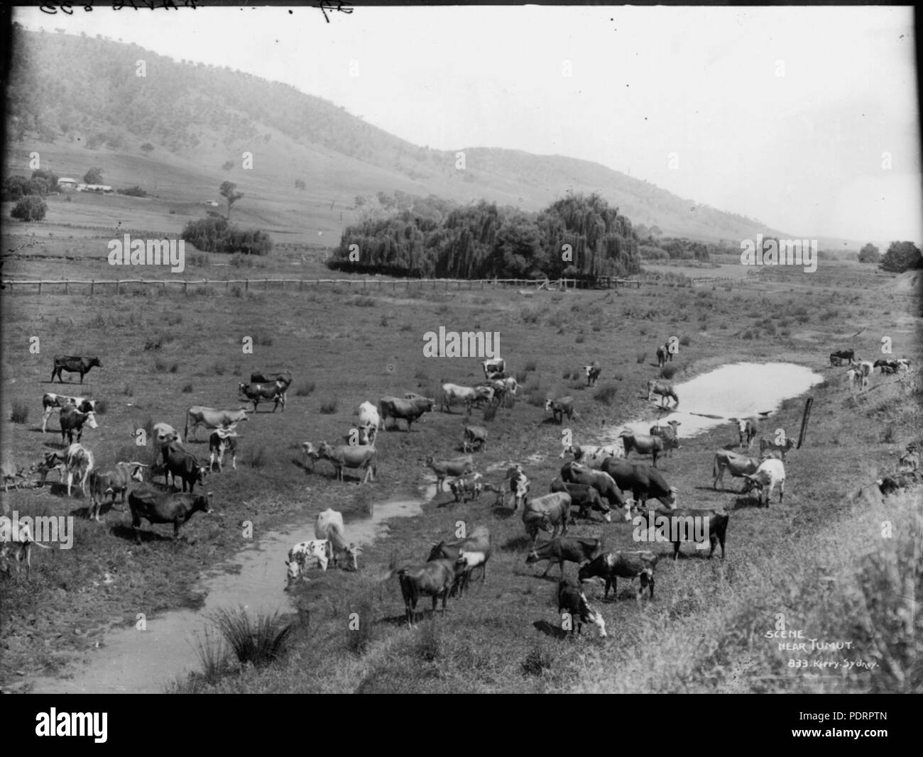 Tumut Black and White Stock Photos & Images - Alamy