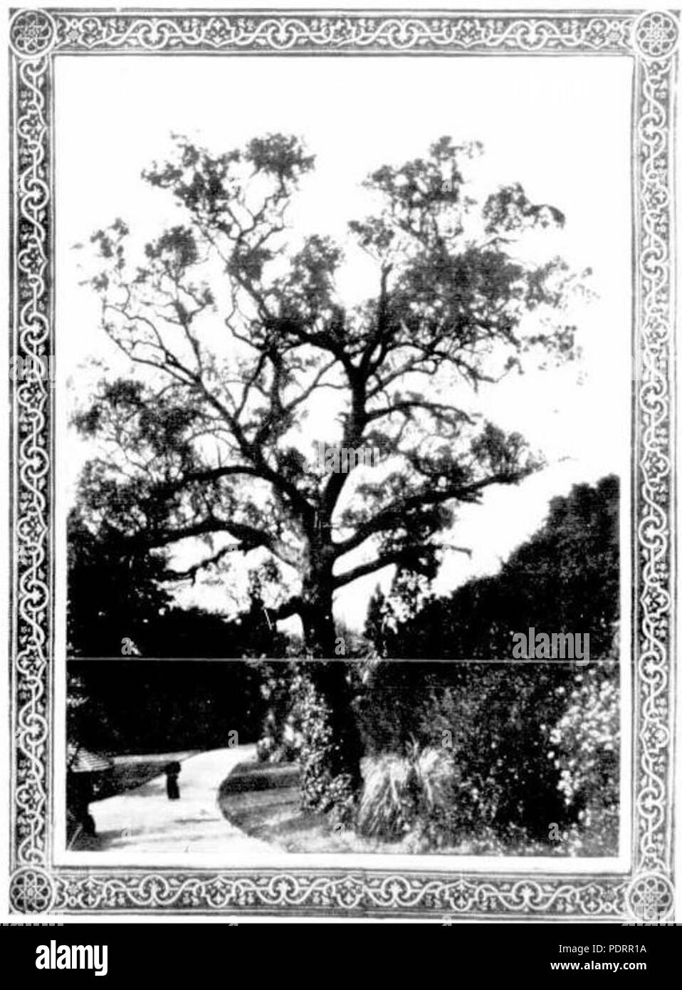 Social separation Black and White Stock Photos & Images - Alamy