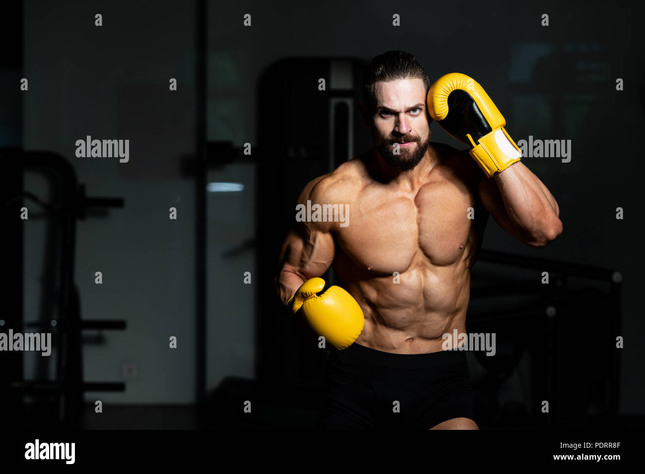 Concentrated boxer beard in boxing hi-res stock photography and images ...