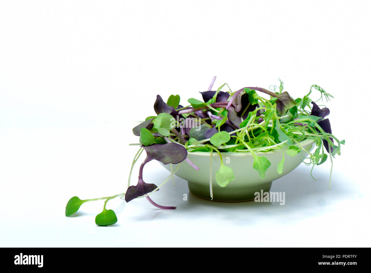 Microgreen, Microgreens, Micro Green, Microleaeves, Micro Leaves ...